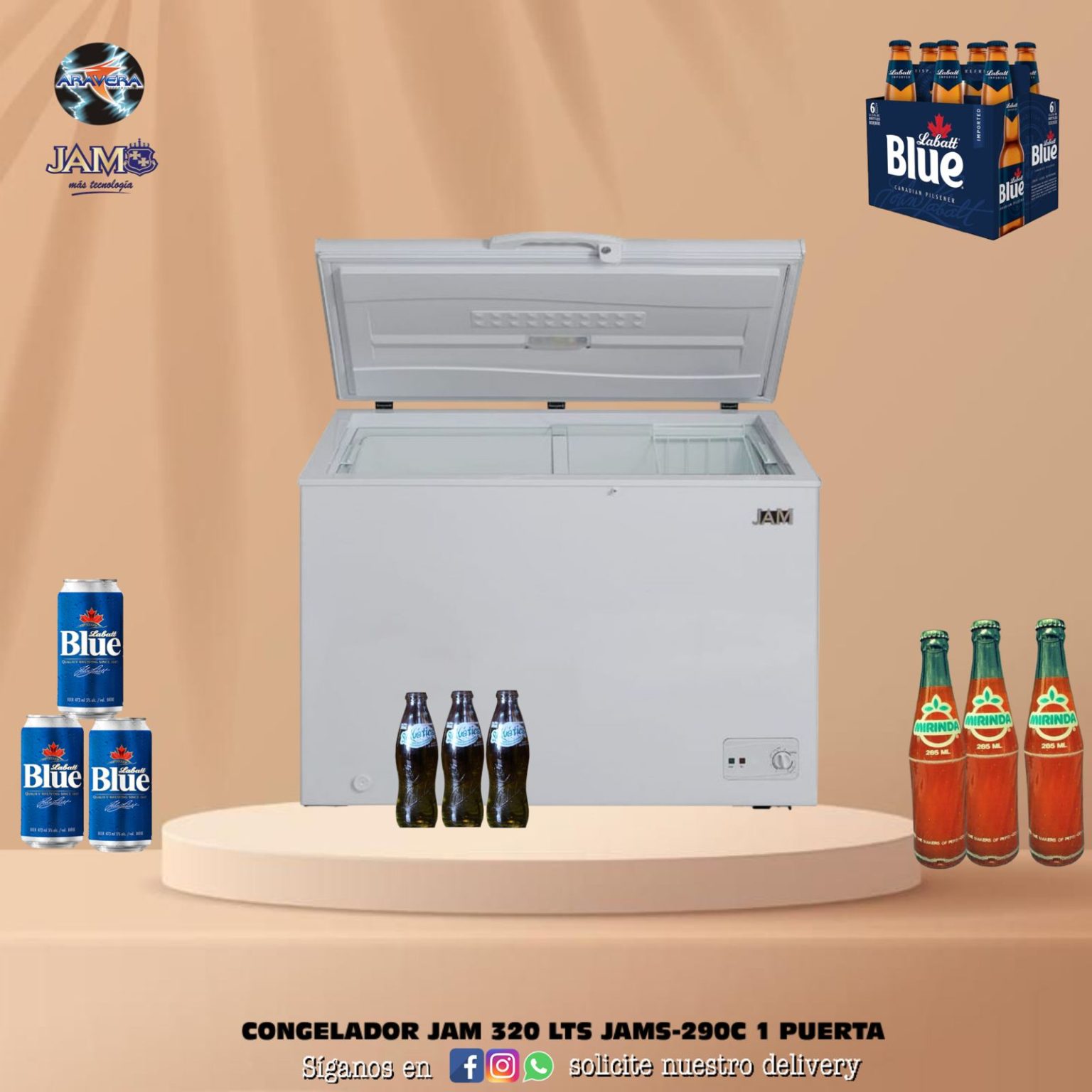 CONGELADOR JAM 320 LTS JAMS-290C 1 PUERTA – Aravera